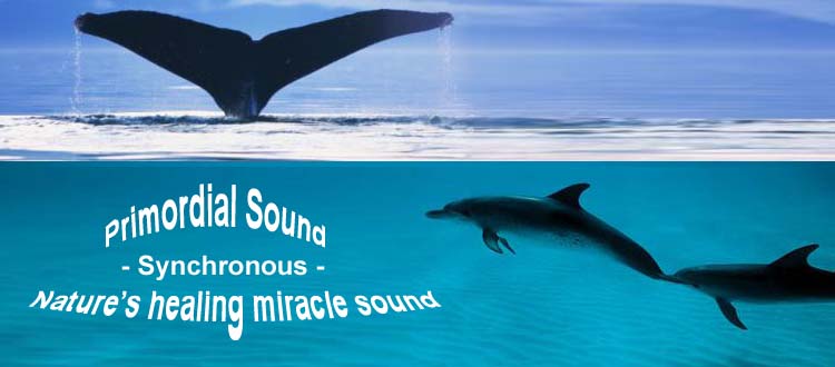 Synchronous Primordial Sound